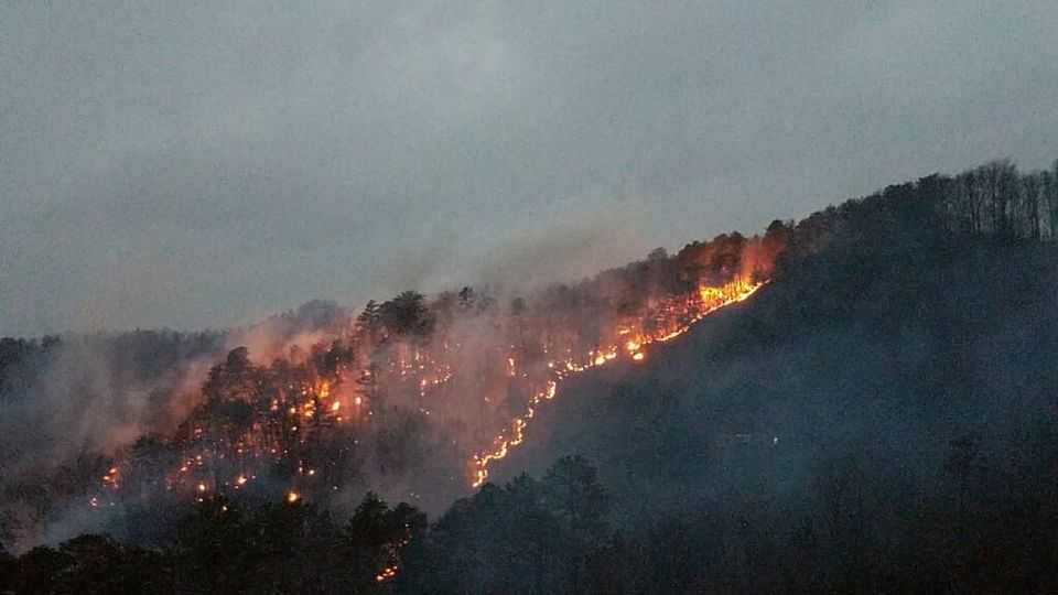 Brush fire burns across 40 acres in Pigeon Forge