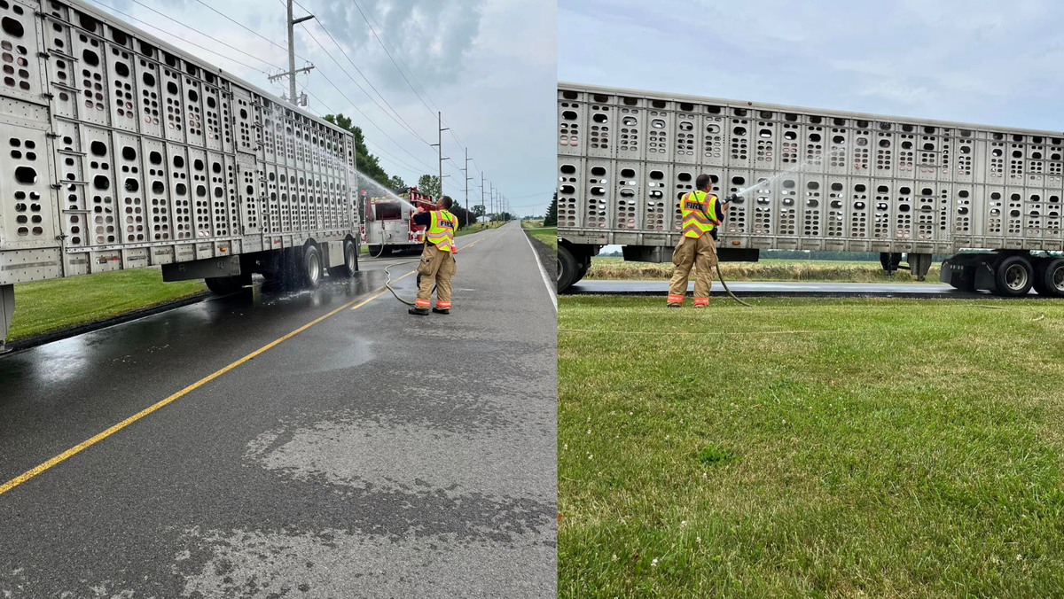 Firefighters use hose to cool down semi carrying hogs after it breaks ...