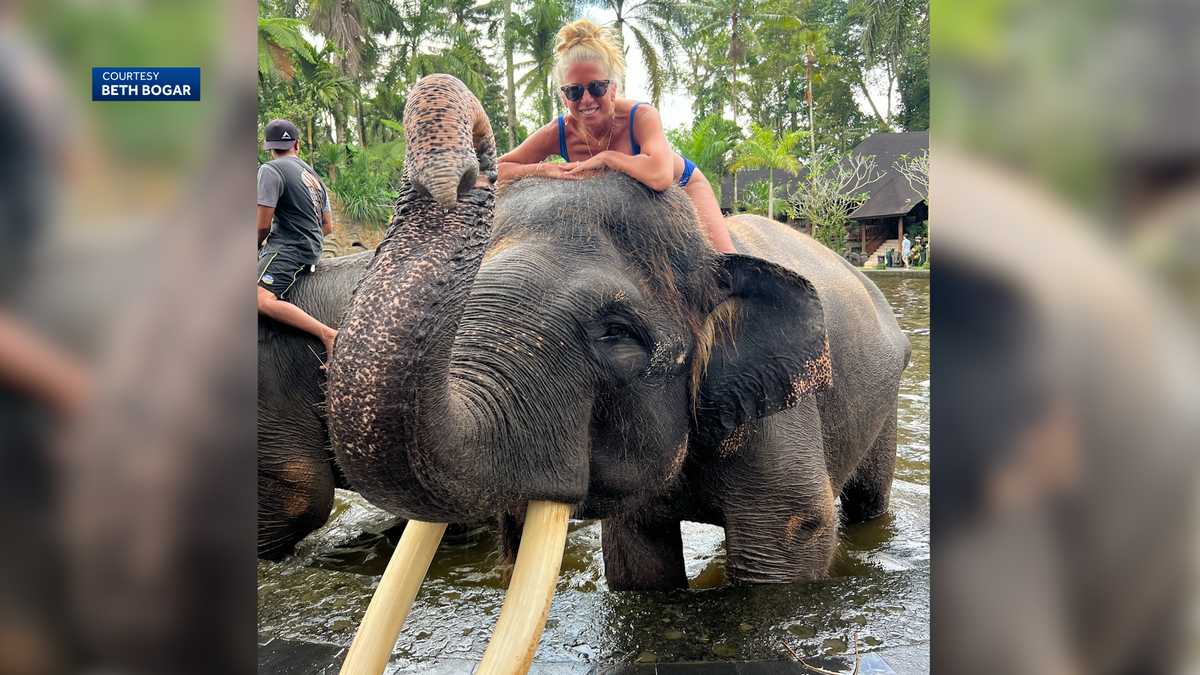 US woman describes being bitten by elephant at resort in Bali
