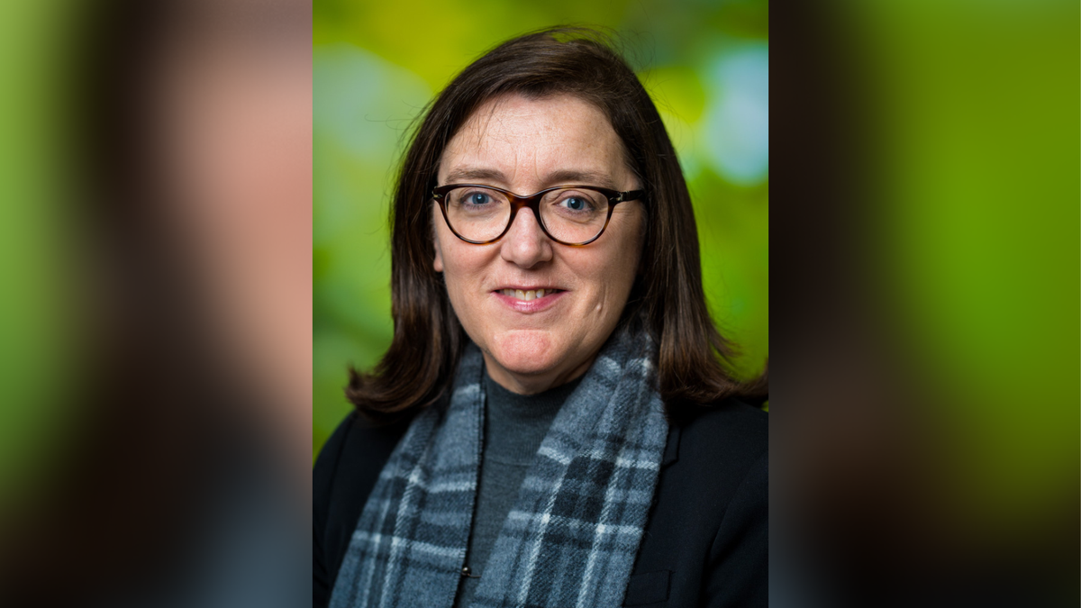 Placer County Board of Supervisors approves new county executive supervisor