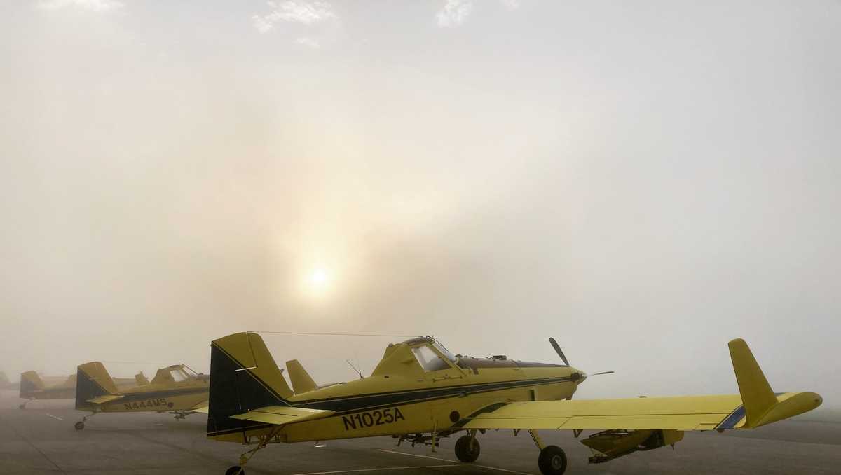 Spot a low-flying plane in Ohio? They're spraying to stop the spread of ...