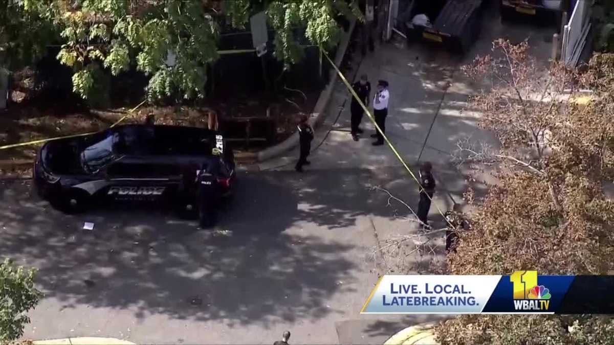 Witnesses called to claim murder suspect missed intended target