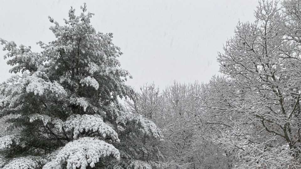 Photos: Snowy start to 2022 in Massachusetts