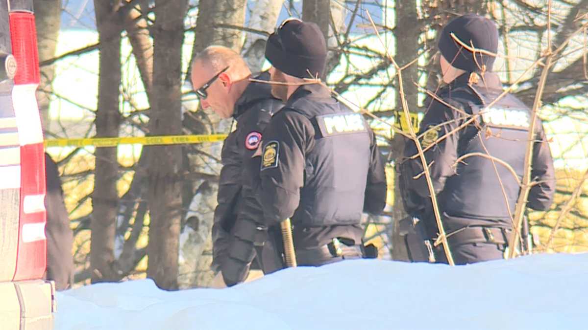 Portland police identify men found dead in woods behind Hannaford