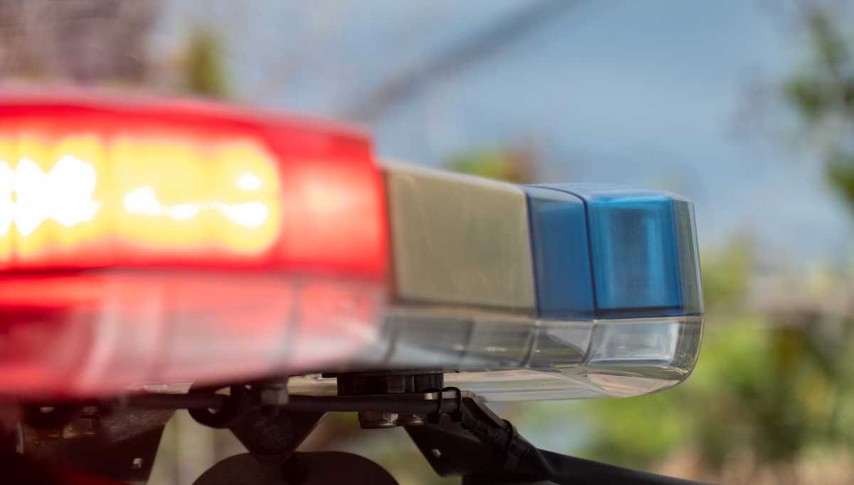 Police ID driver who hit toddler, father in crosswalk on Saturday