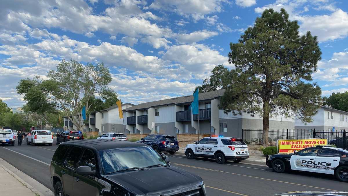 Police activity after fight in northeast Albuquerque