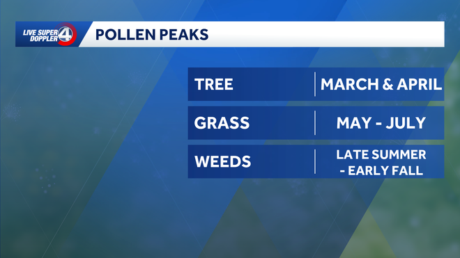 Sneezing Yet? South Carolina pollen levels on the rise