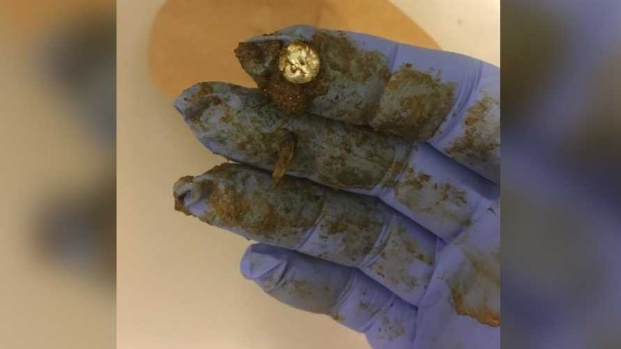 That’s not mud: Couple finds engagement diamond after pup’s morning walk