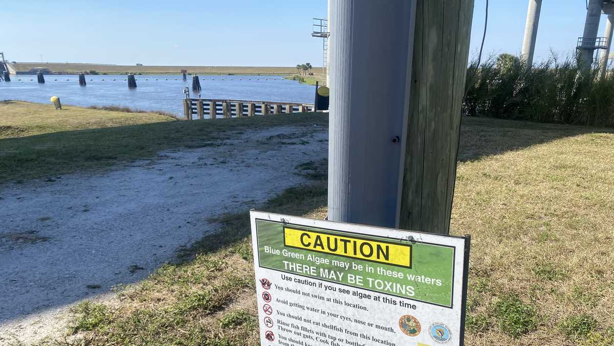 Florida lock and dam shutting down in response to toxic algae photos