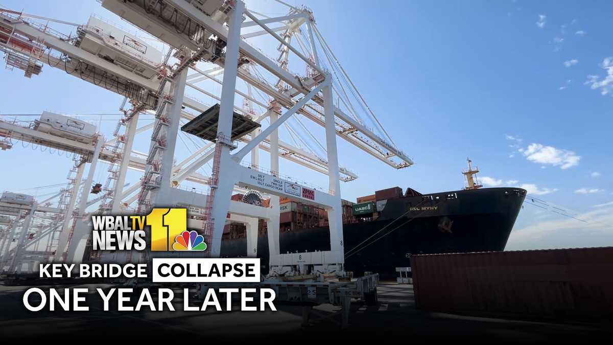 Baltimore port traffic set to rebound pre-bridge collapse levels