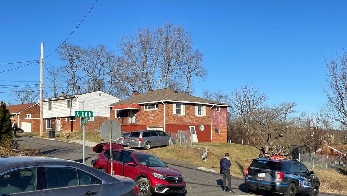 Two vehicles damaged following shooting in Port Vue