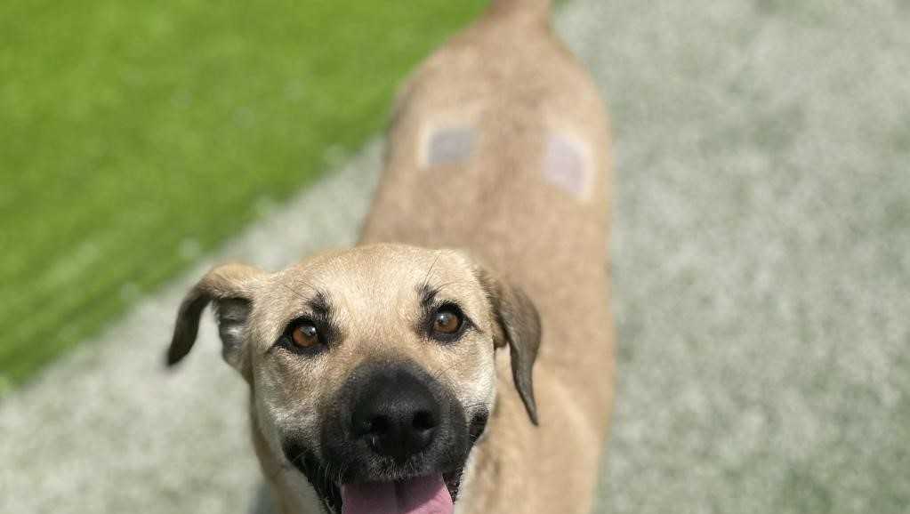 Erin Guy - Journalist Profile - Intelligent Relations