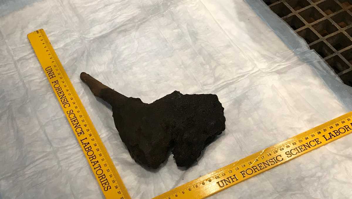 Bones believed to be infamous pirate found off Cape Cod