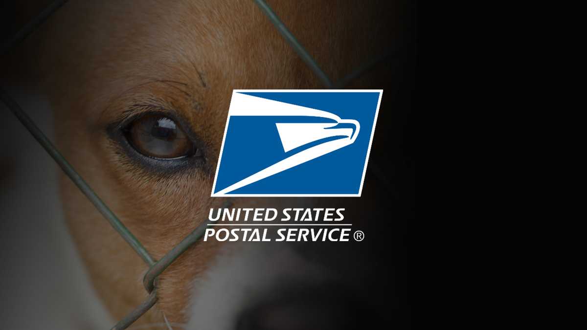 U.S. Postal Service seeks help to prevent dog attacks