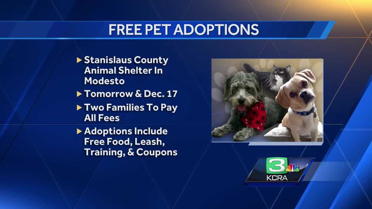 Free pet adoptions available Saturday in Stanislaus Co.