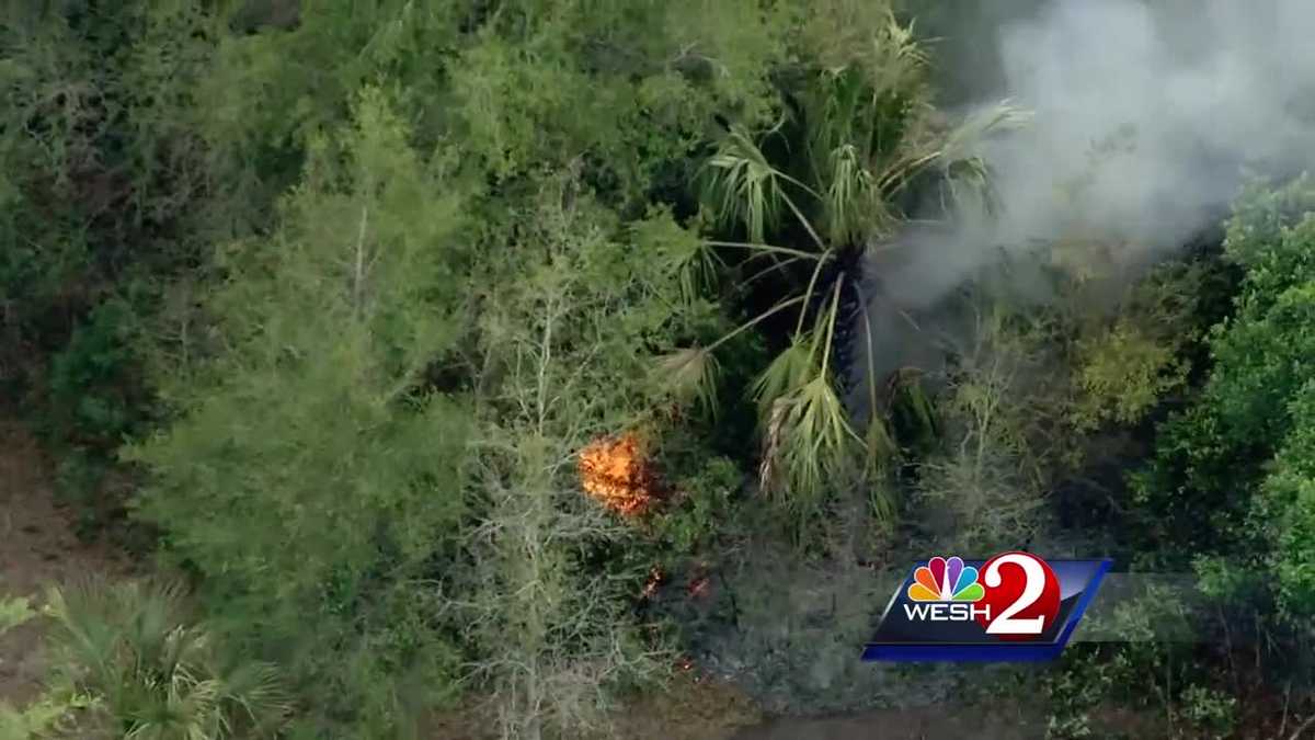 Wildfire spreads to plant nursery, destroys greenhouse