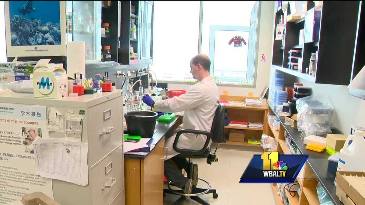 March to emphasize importance of science to society