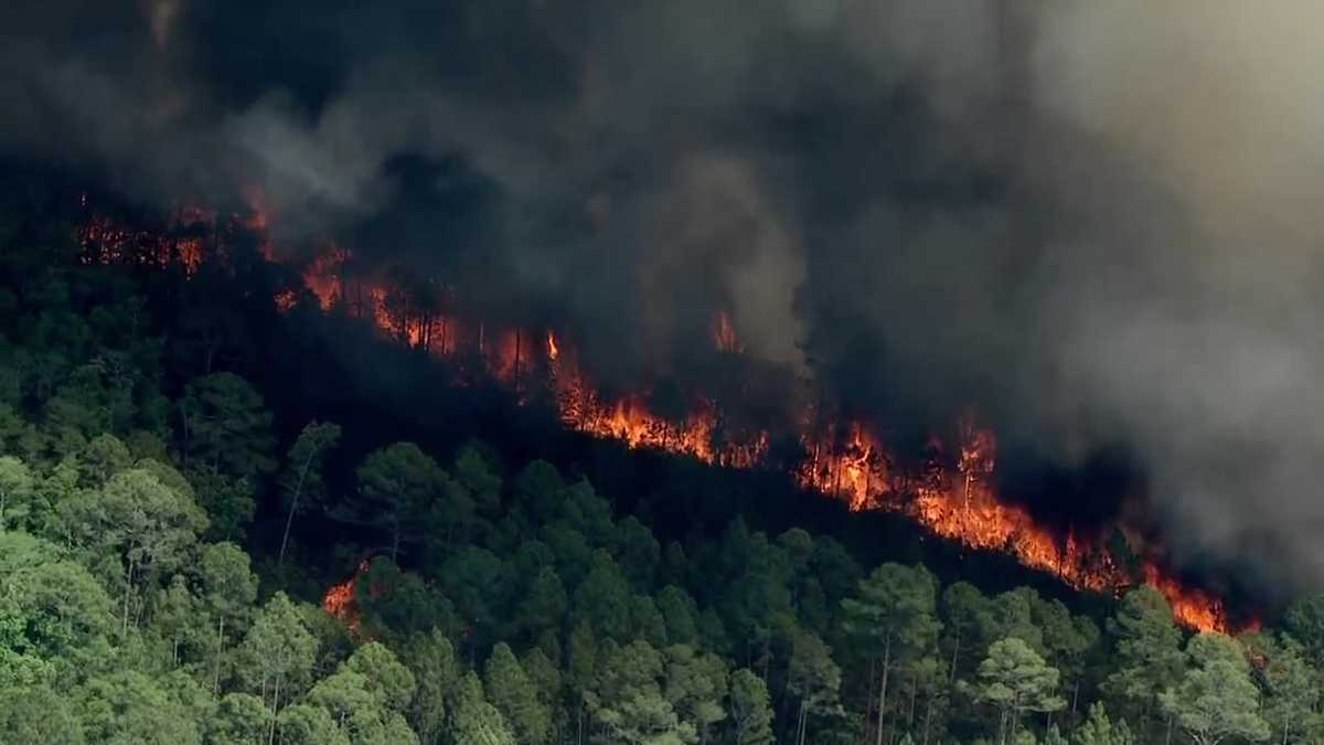 Brush fire burning between New Smyrna Beach and DeLand