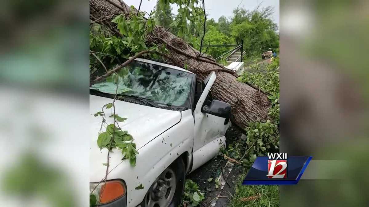 Two people escape injury after tree smashes pick-up truck Two people escape injury after tree smashes pick-up truck