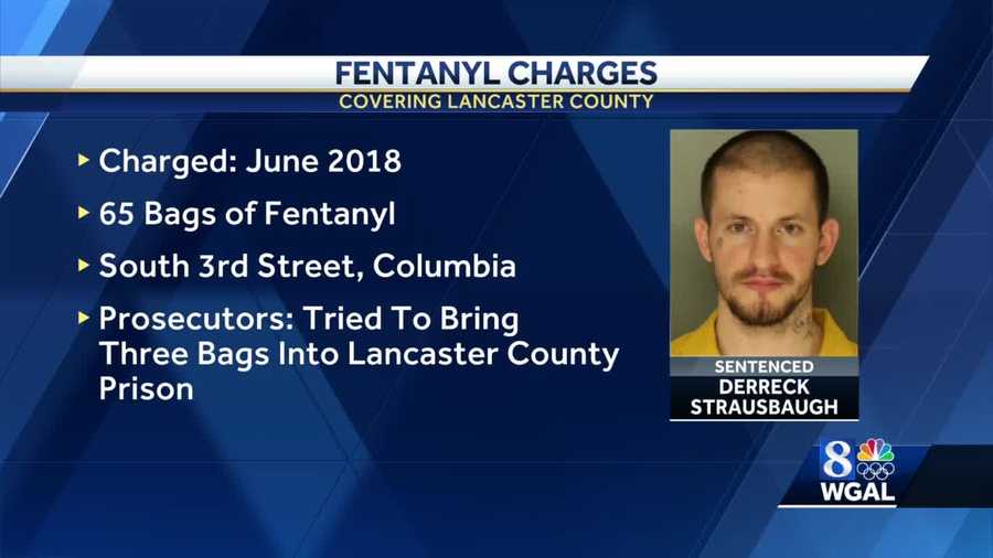 Lancaster County man gets up to 10 years in prison for drug dealing
