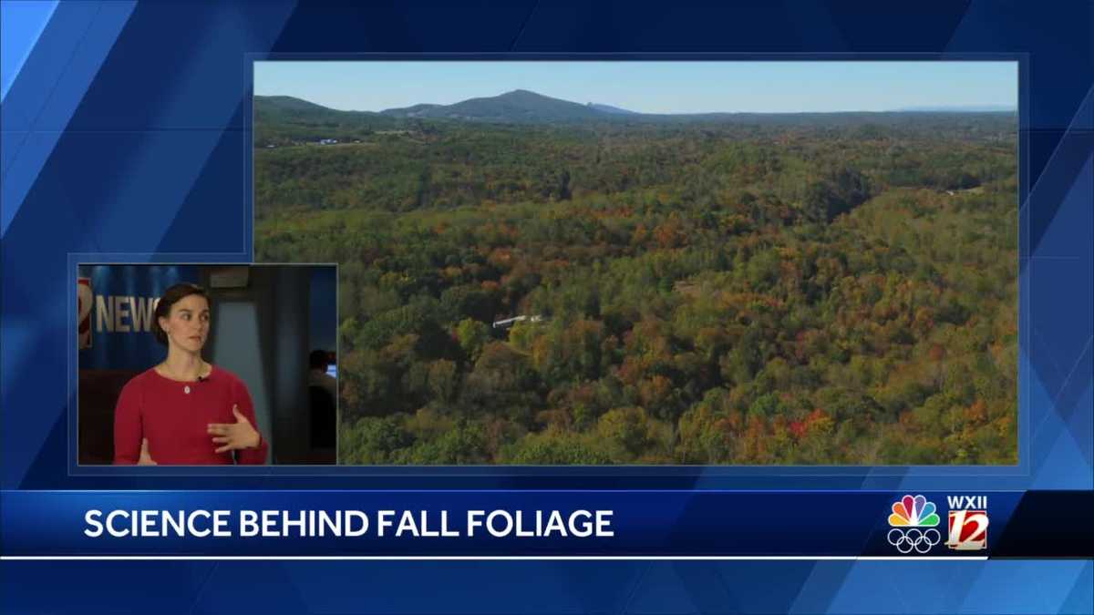 The Science Behind Fall Foliage