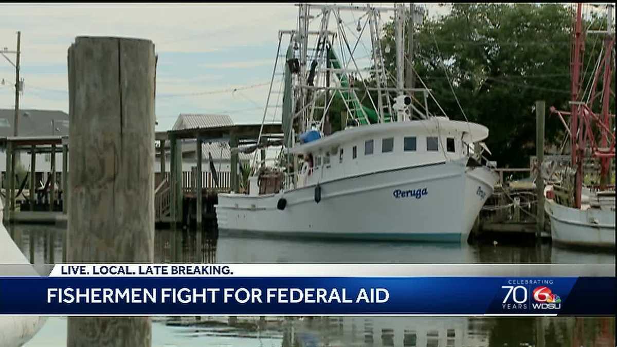 New bill gives new hope to Gulf Coast fishermen amid seafood crisis