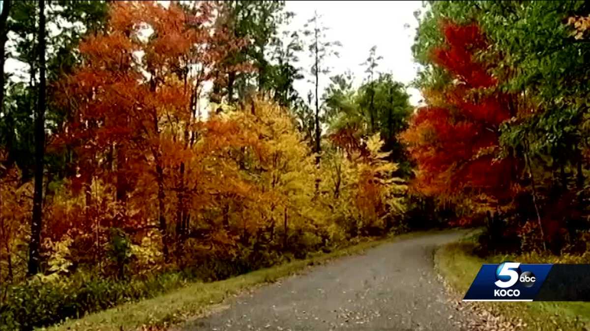 Preparing for the first true taste of fall