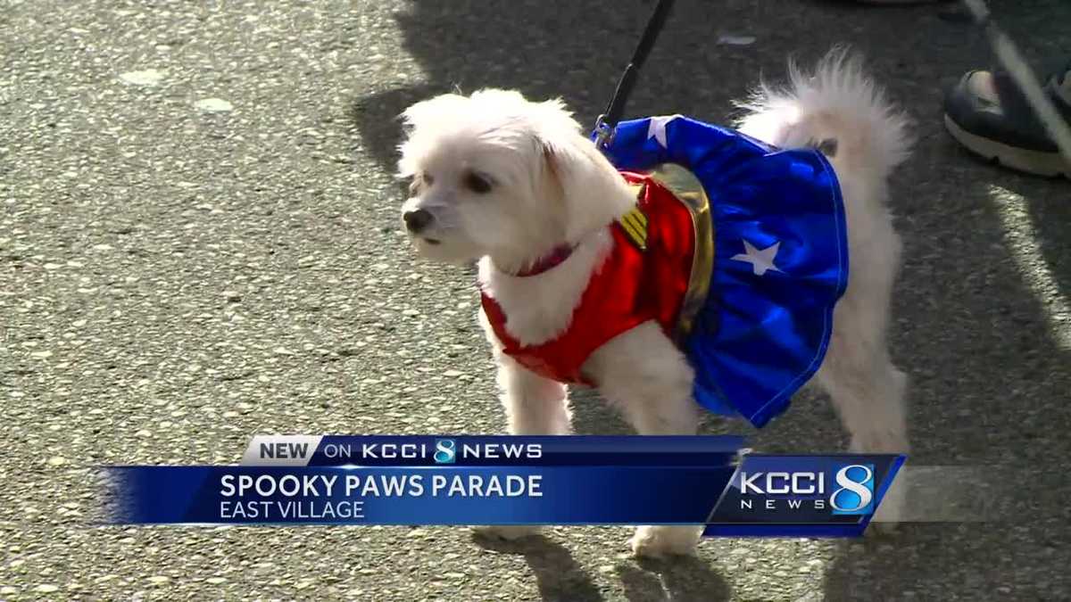 Dogs dress up for seventh annual Spooky Paws Parade
