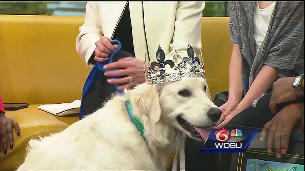 Krewe of Barkus: Meet the 2018 king!