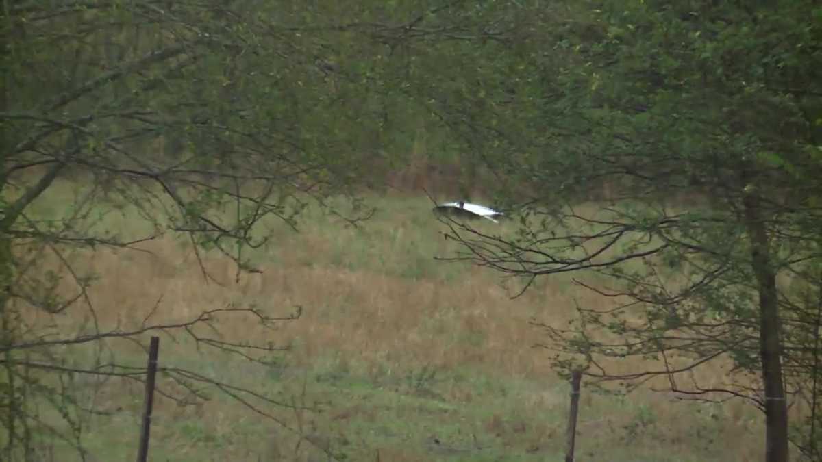 4 Dead In Small Plane Crash In Hayden Area Of Blount County