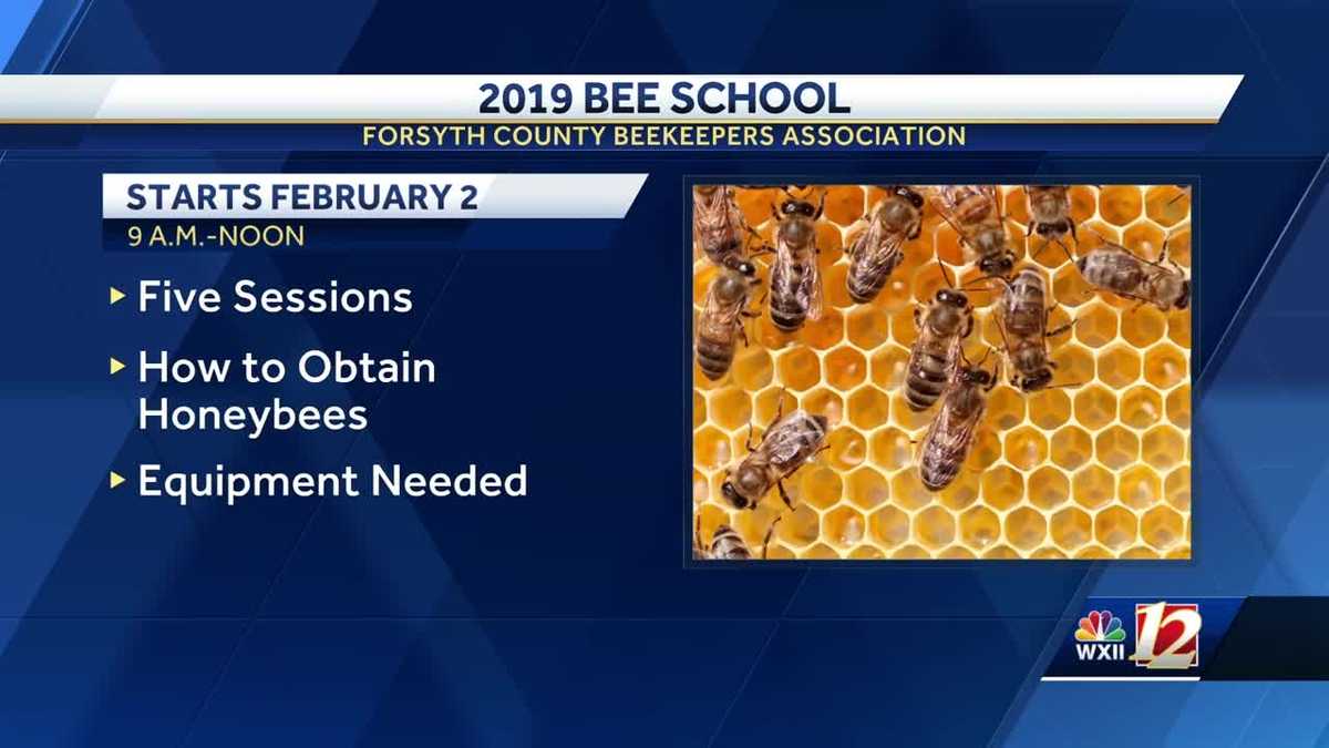 All You Need To Know About Beekeeping