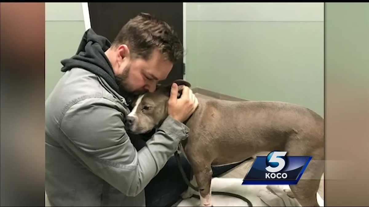 Jones veteran whose dog was missing receives miracle just in time for ...