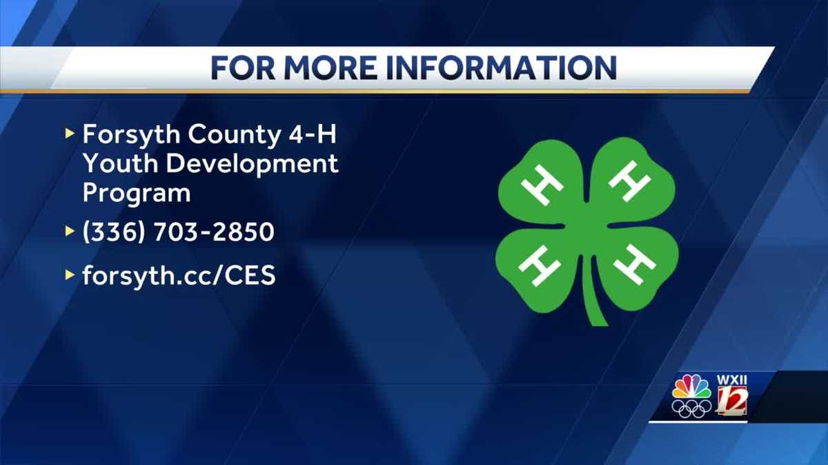 4-H Youth Programs