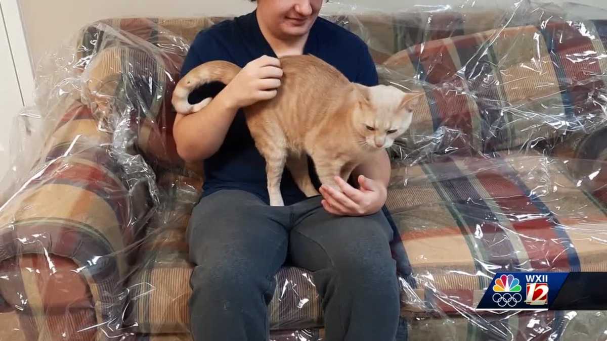 Noon Pet Of The Week: Butter