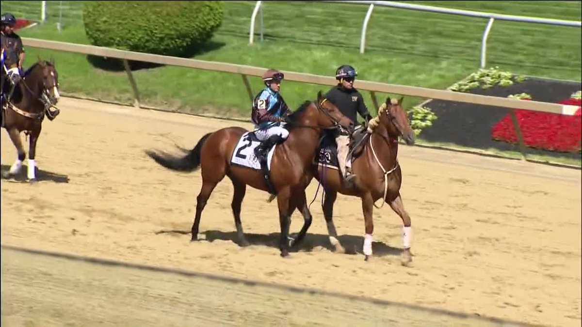 Preakness 150: Special coverage from 11 News in videos
