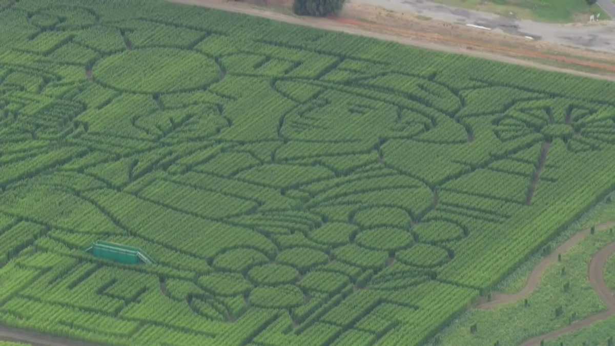 2025 full list | Pumpkin patches, corn mazes near Sacramento
