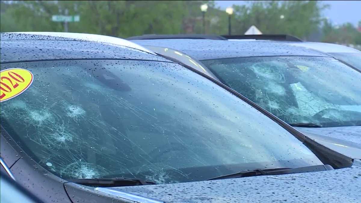 STORM DAMAGE: Car dealership among businesses that storm hit
