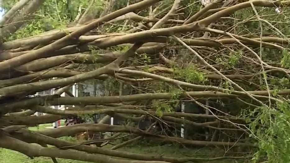 Confirmed EF0 tornado in Florida