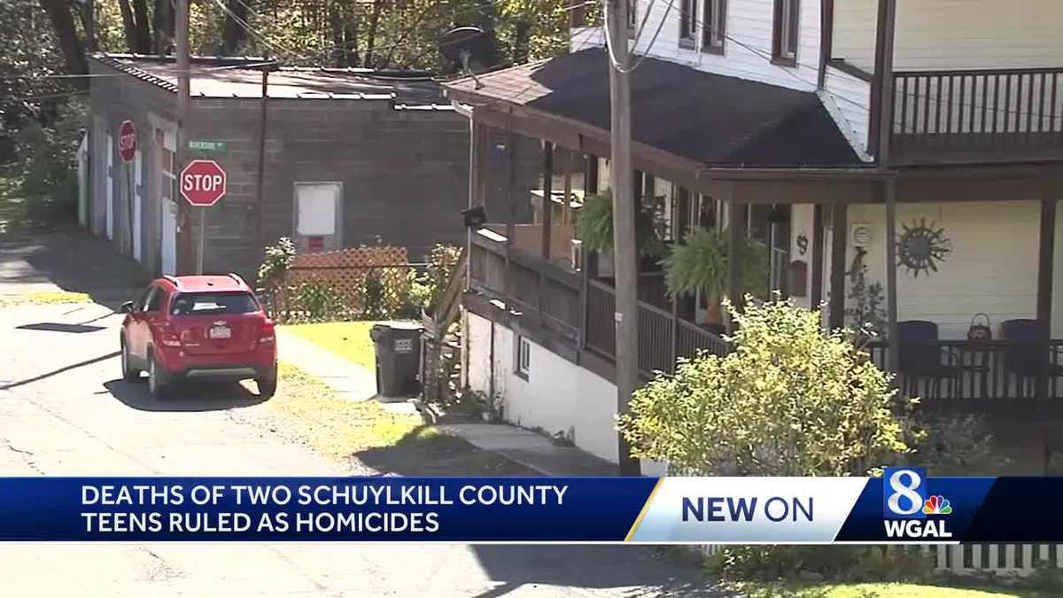 Two bodies found in wooded area in Schuylkill County, Pa.