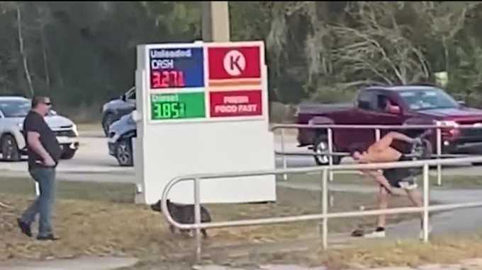 Florida man allegedly beats dog; witnesses step in to save animal