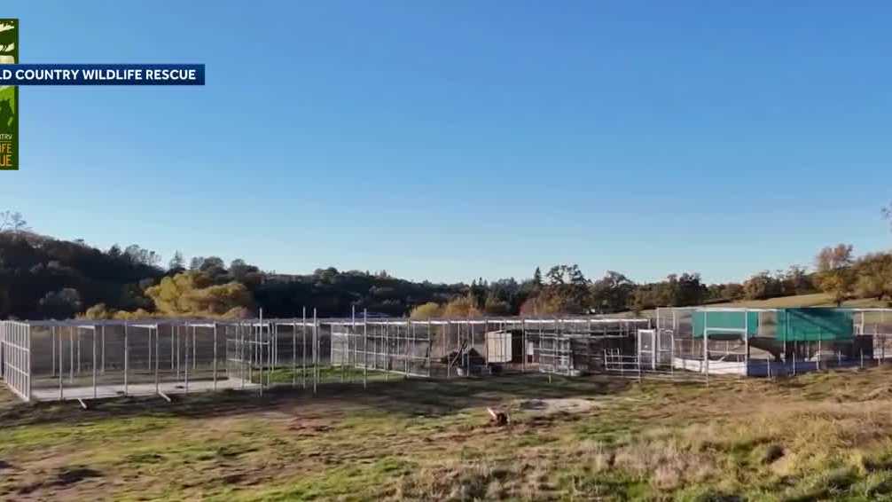 Gold Country Wildlife Rescue receives support as new facility is nearly ...