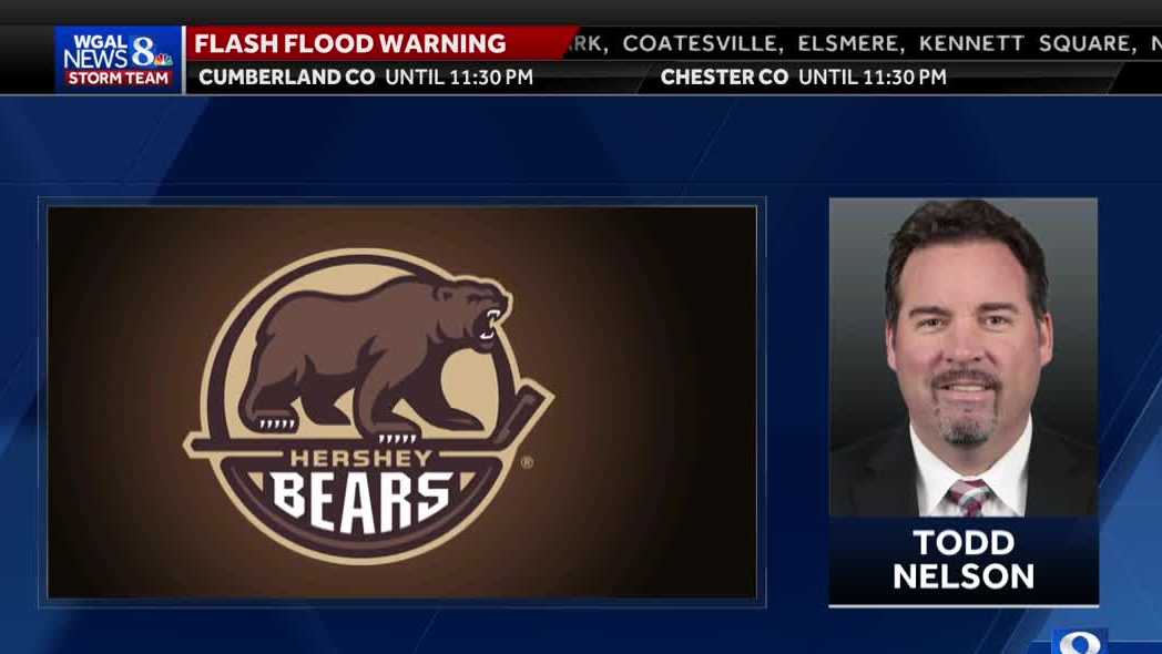 Todd Nelson reflects on leaving Hershey Bears for NHL role