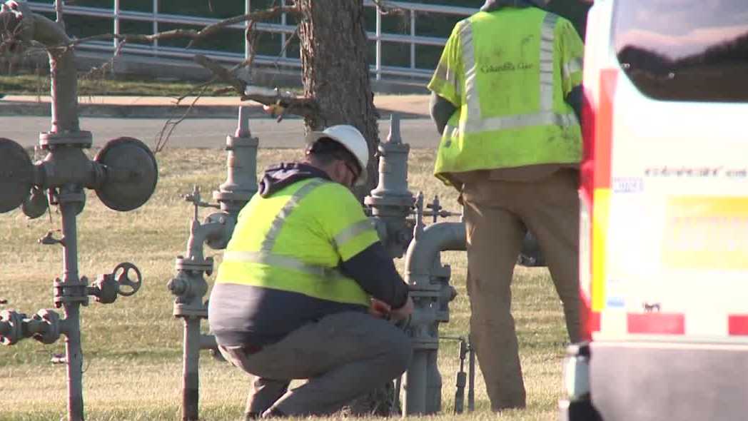 Gas Leak Prompts Evacuation At Spring Grove Elementary