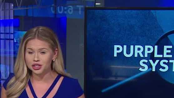 New Florida Purple Alert to protect missing adults with disabilities