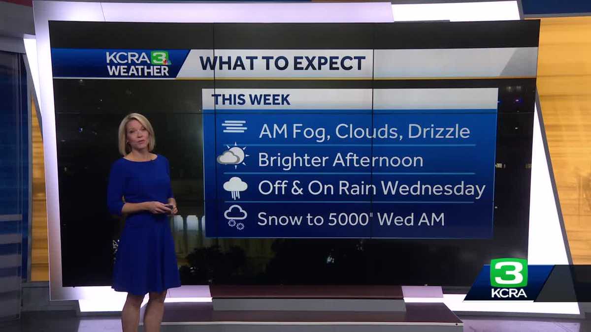 Eileen Javora - Journalist Profile - Intelligent Relations