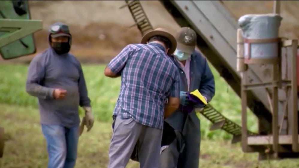 Biden issues order effectively closing border to asylum seekers