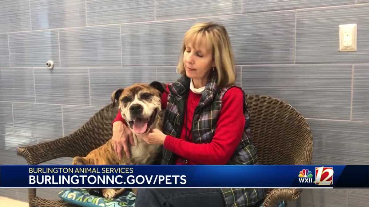 Noon Pet Of The Week: Moses