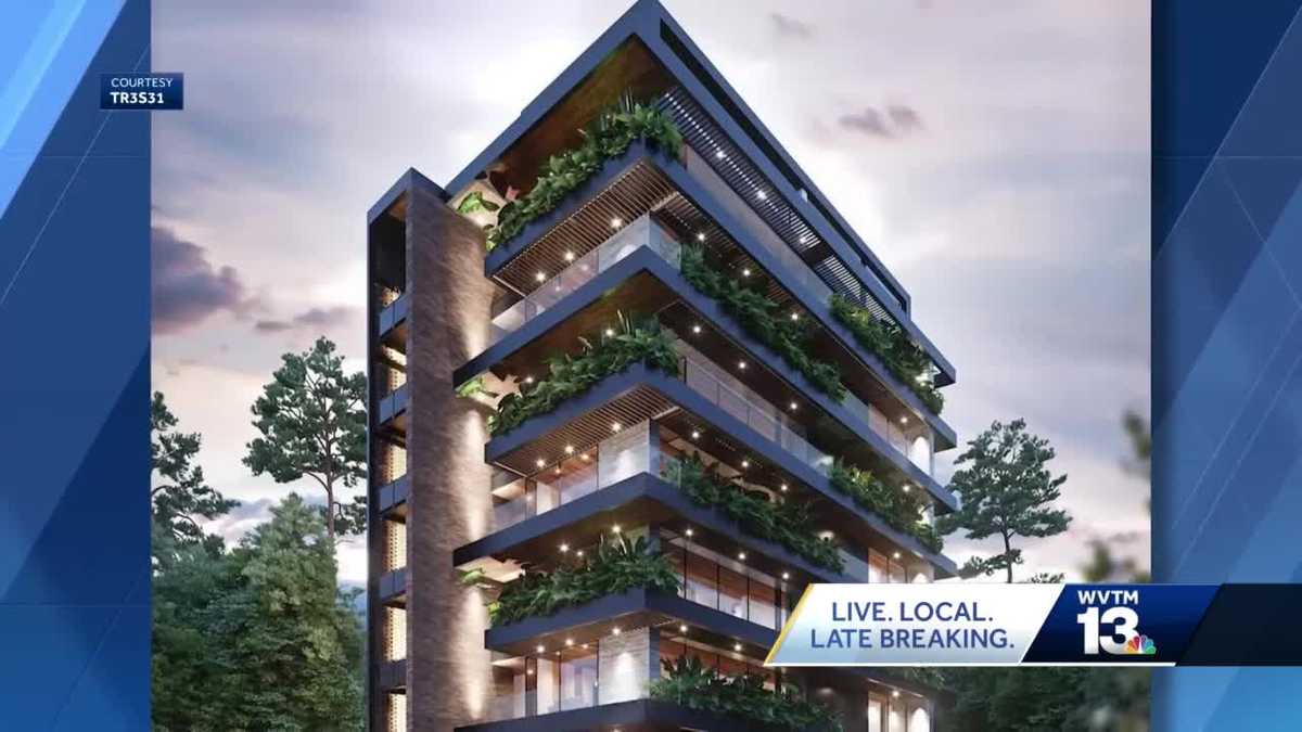 Multi-story BNB project proposed Hoover Met