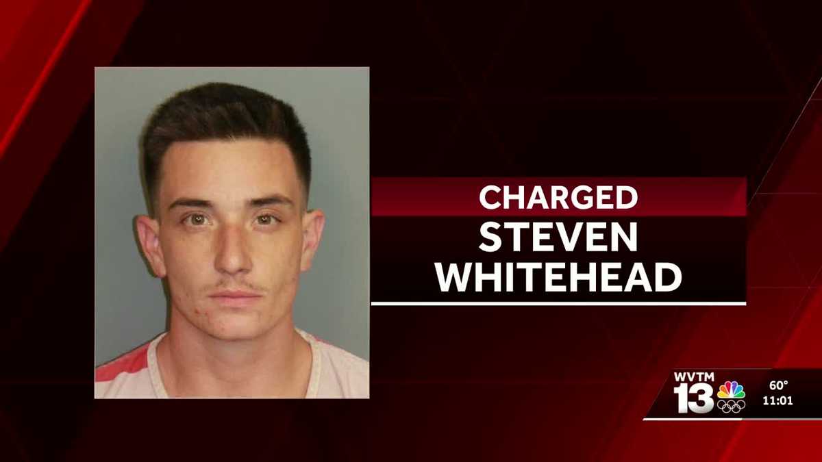 Suspect in Pinson bonfire shooting, death of Kimber Mills released on bond