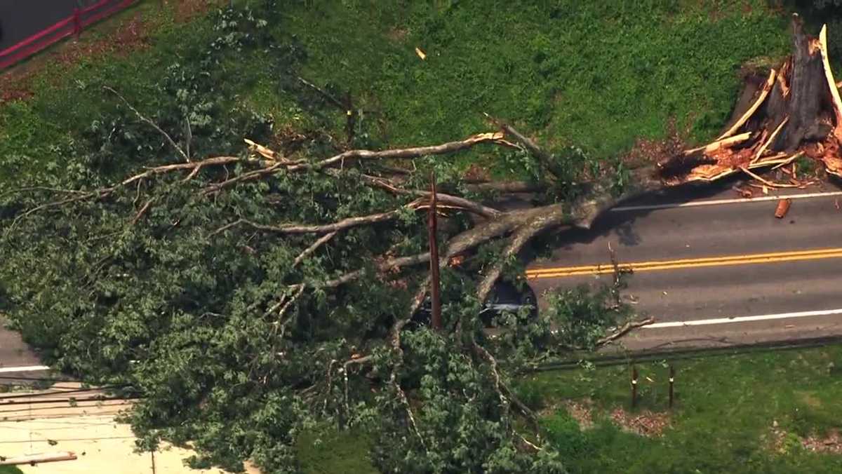 Large tree falls on car, closes road in Ross Township